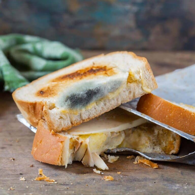 Peut-on manger du pain de mie périmé ? Risques, durée et astuces anti-gaspi